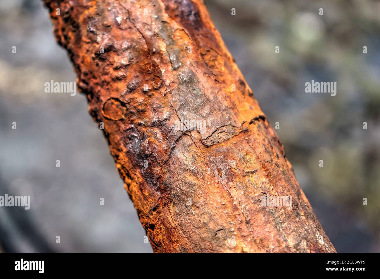 iron rusts in the open air Stock Photo - Alamy