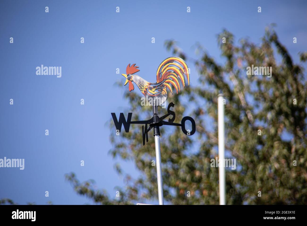 colorful rooster as a weather vane in the sky Stock Photo - Alamy