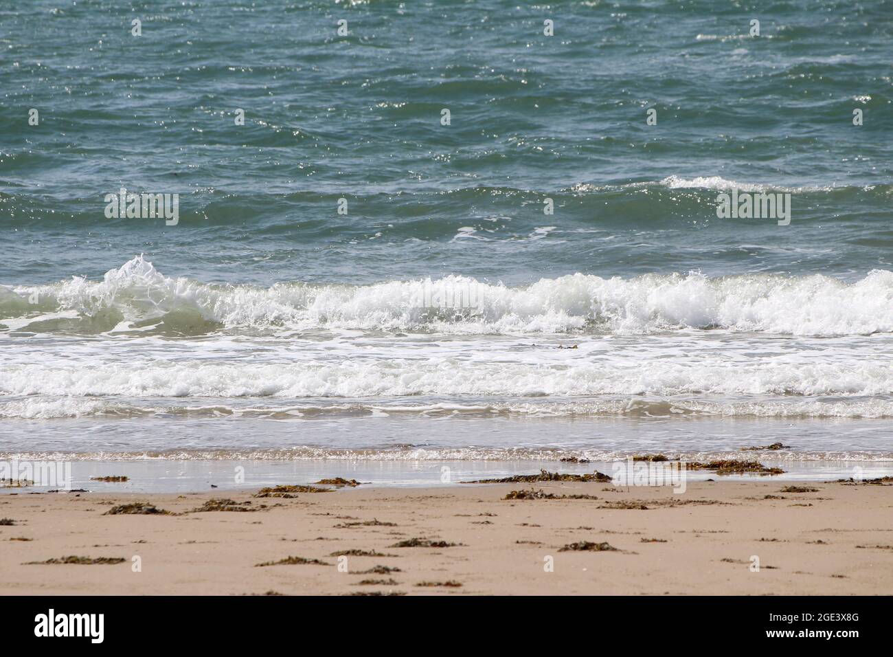 Wave forest hi-res stock photography and images - Alamy