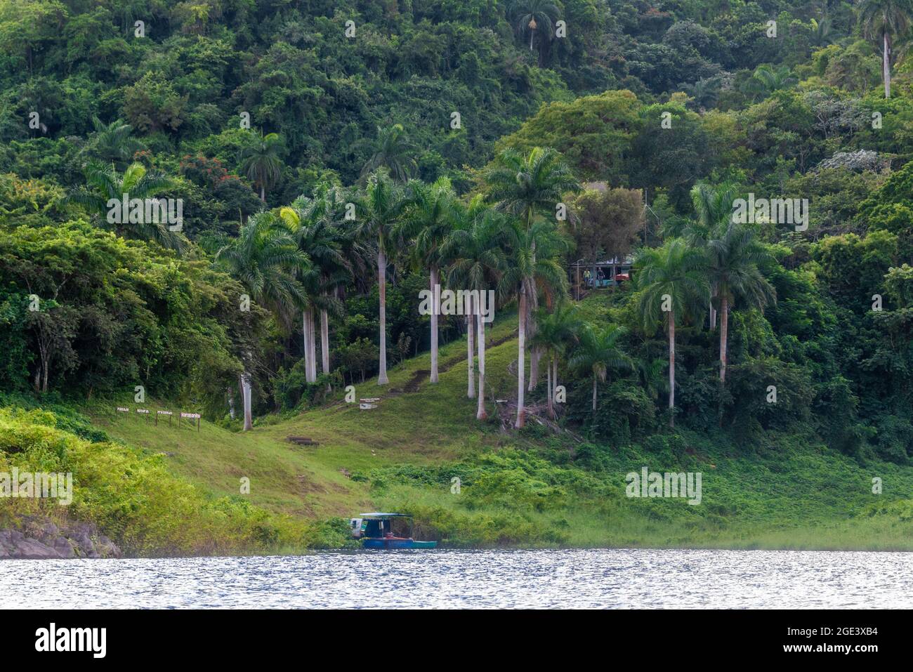 Landscape in Hanabanilla Lake, Villa Clara, Cuba Stock Photo - Alamy