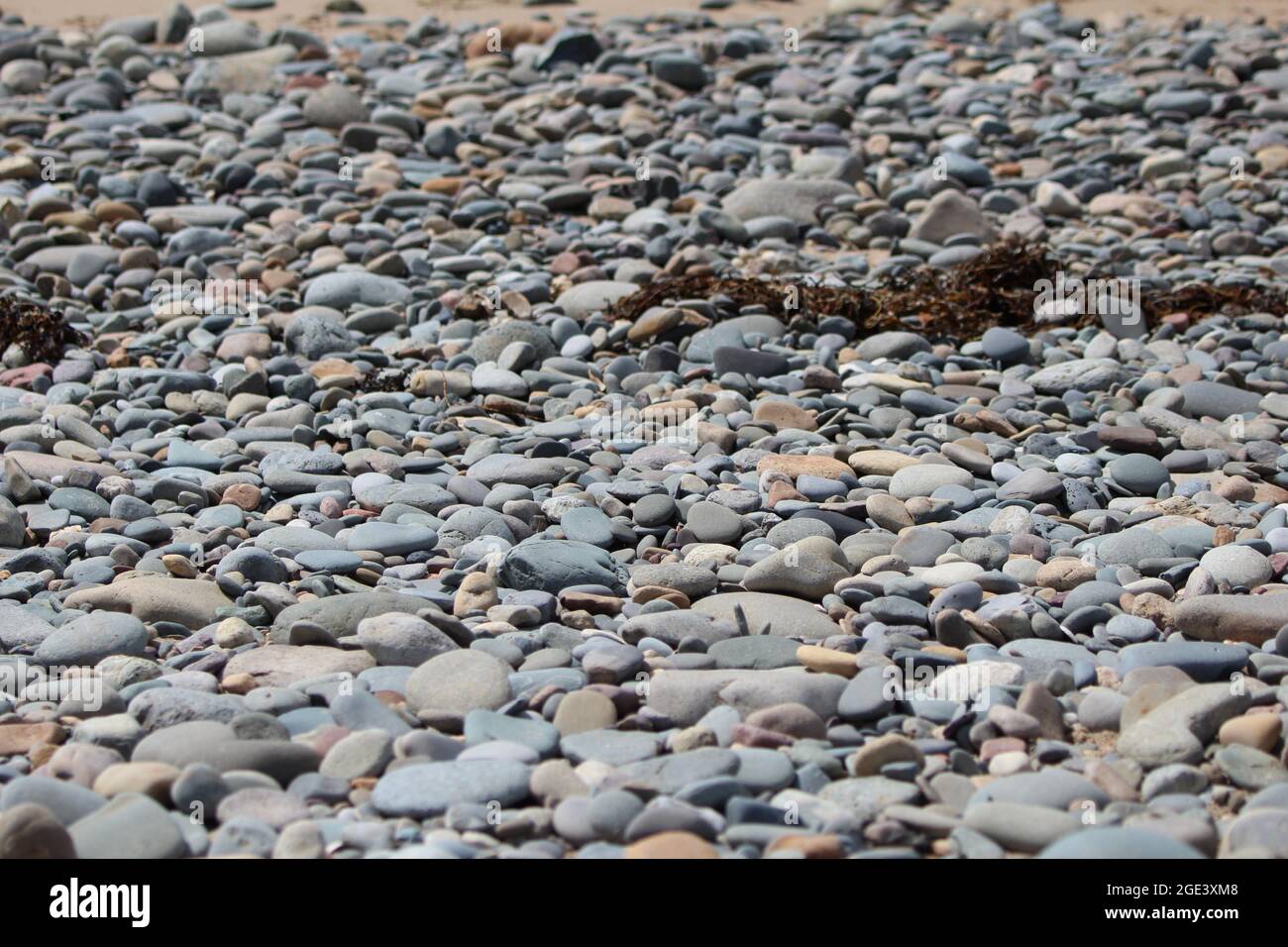 Pebbles on the beach of Newborough Forest Stock Photo - Alamy