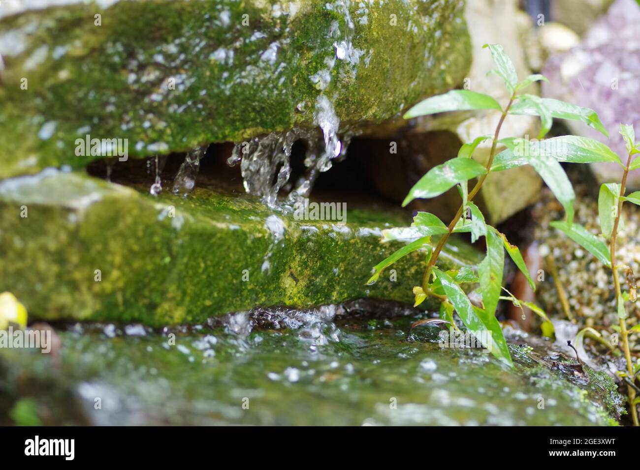 Detail of a small waterfall with moss-covered stones Stock Photo - Alamy