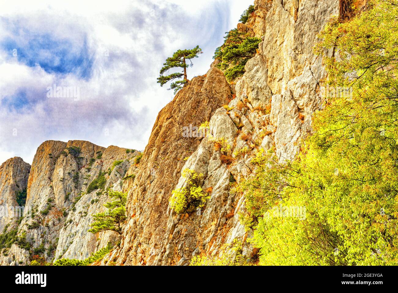 Landscape of a steep cliff with a lone pine tree Stock Photo - Alamy