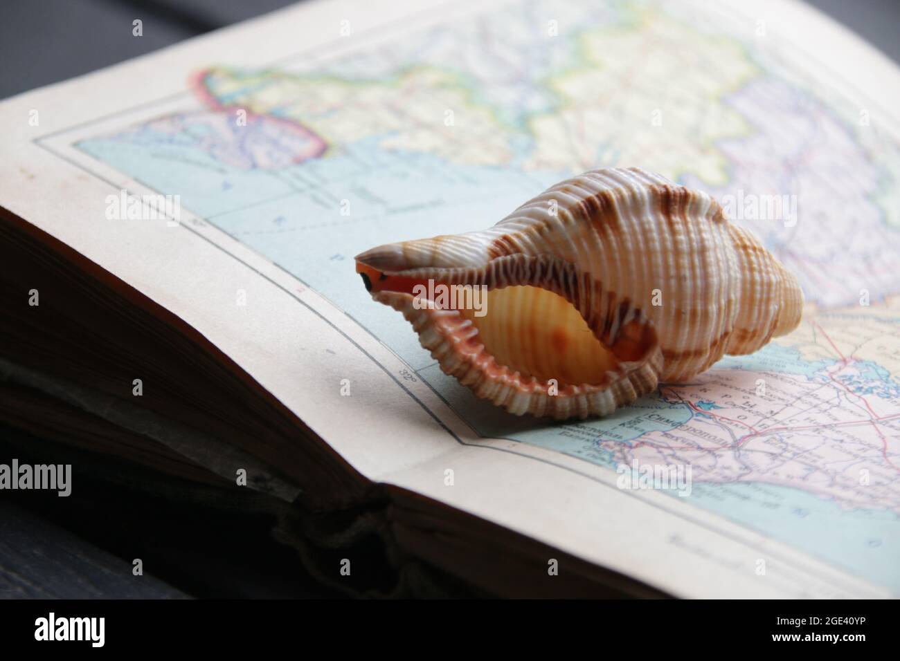 Summer vacation at sea concept. Map and seashell Stock Photo - Alamy