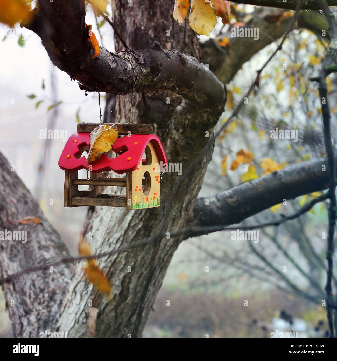 Birdhouse on a tree Stock Photo - Alamy