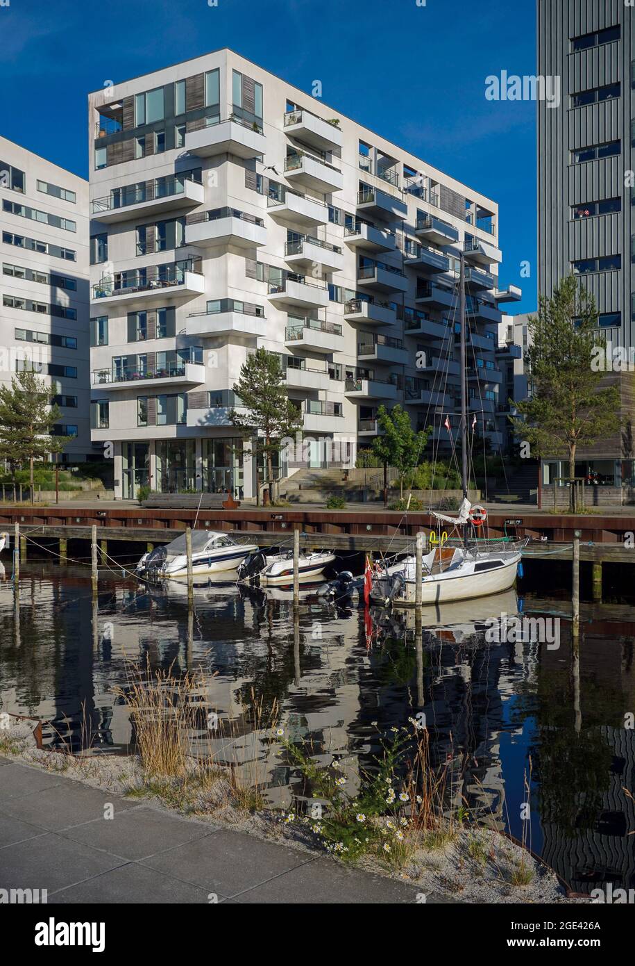 Harbor redevelopment area in Odense, Denmark with modern housing ...