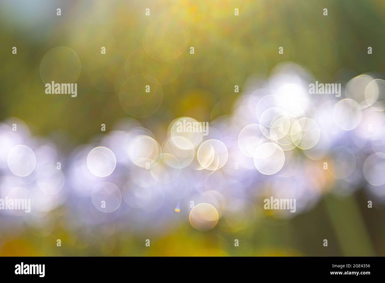 lensflares, blurred lights for webdesign, backgrounds, compositions and ...
