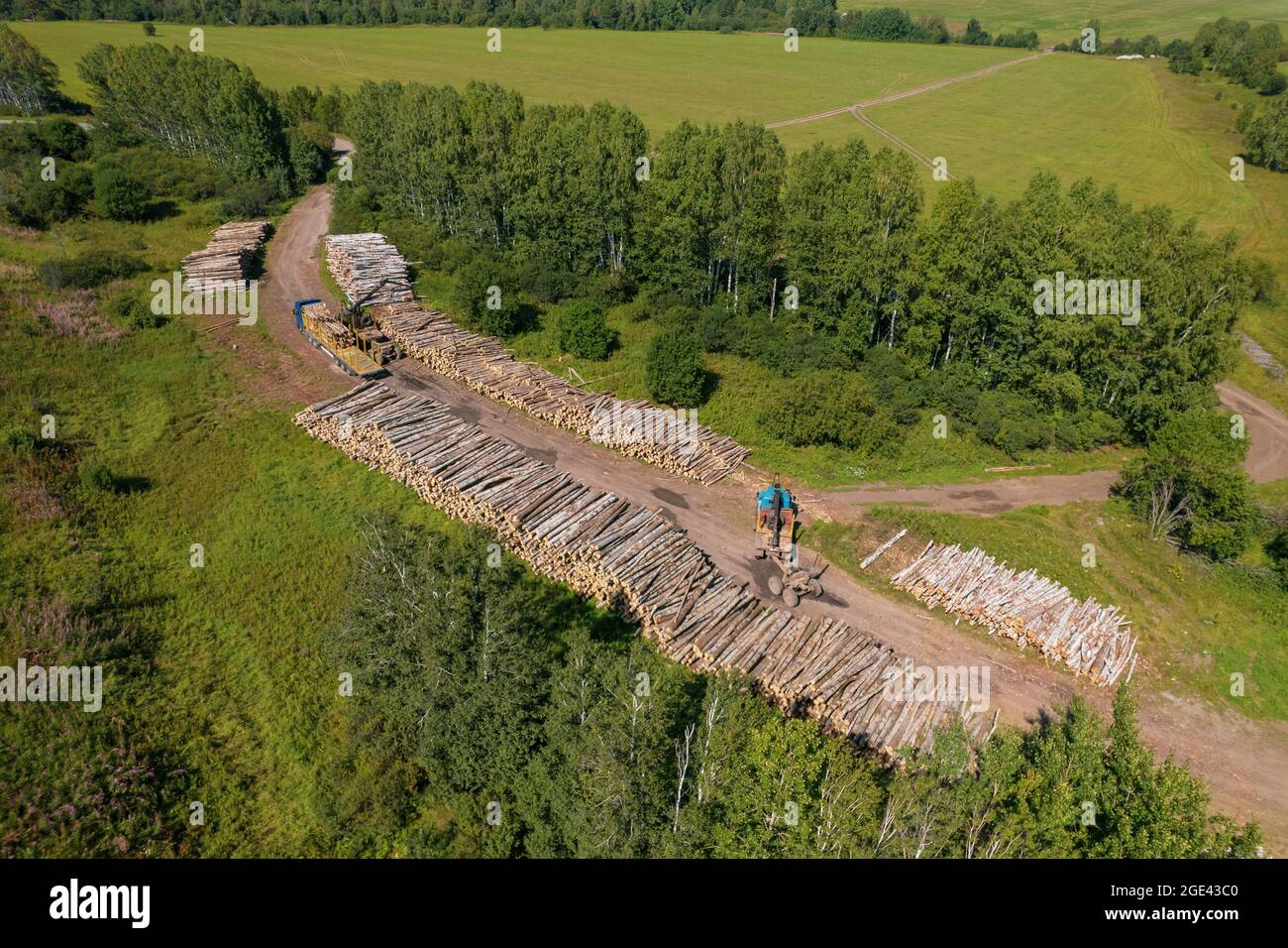 The deforestation of Siberia: economic and environmental problems in ...