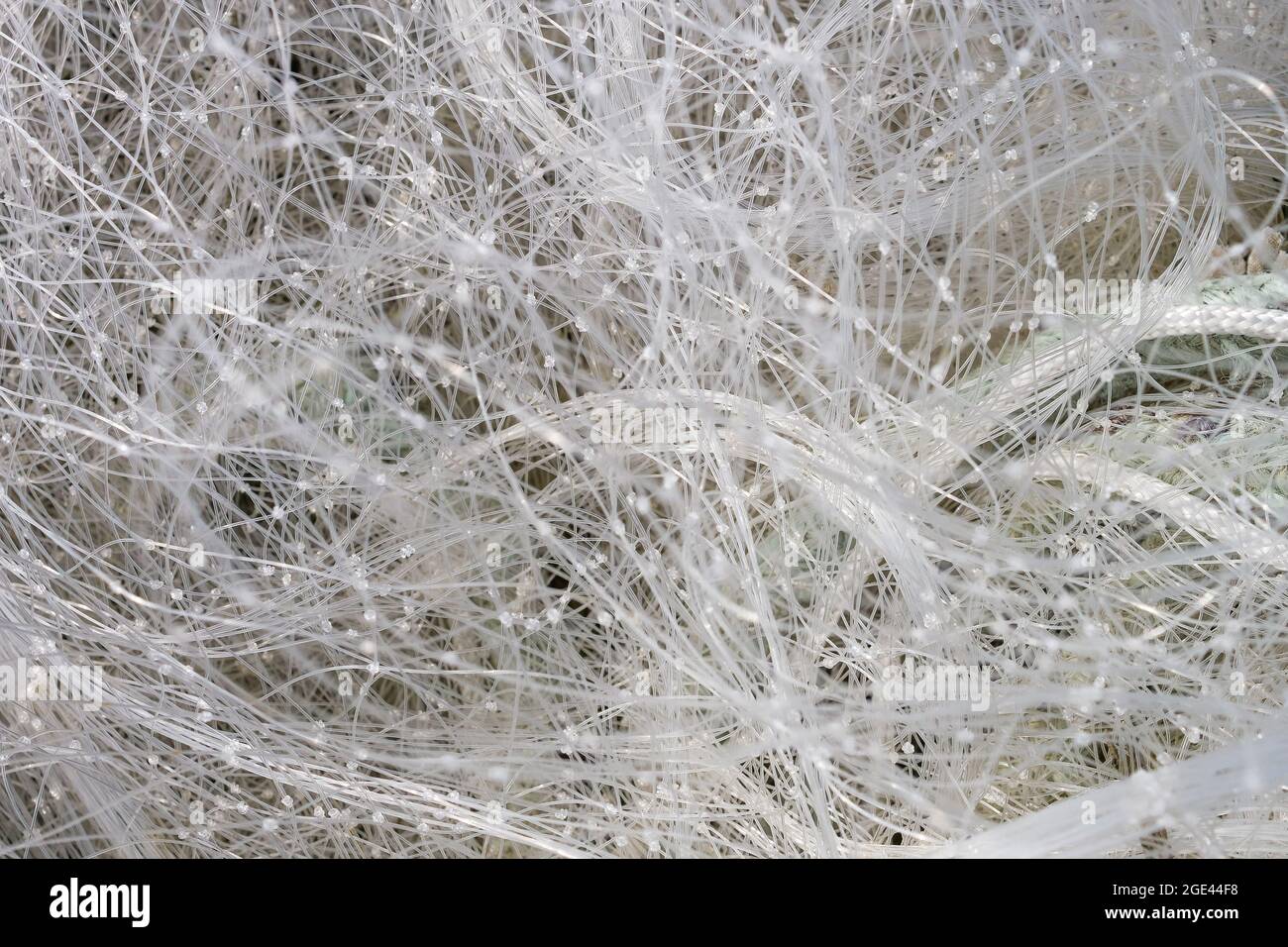 Fishnet - close-up view, Saint-Vaast la Hougue fishing harbor, Manche ...
