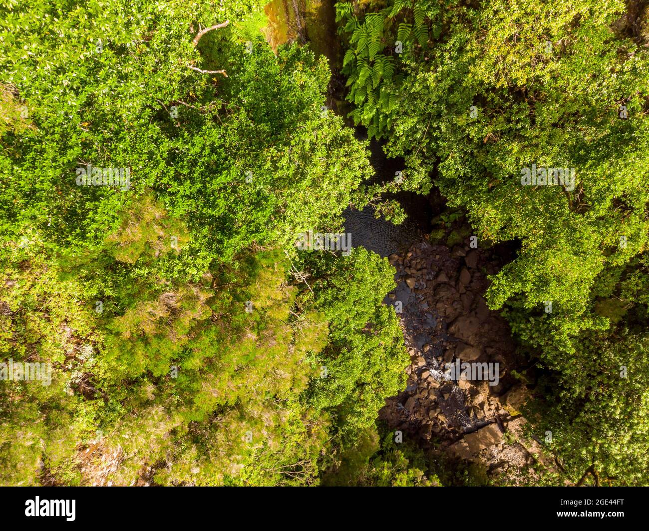 Aerial drop down view of forest waterfall falling into pond Stock Photo ...