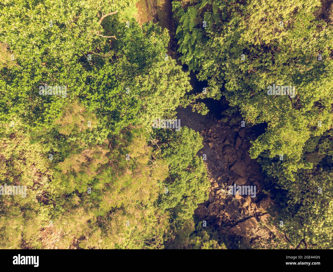 Aerial drop down view of forest waterfall falling into pond Stock Photo ...