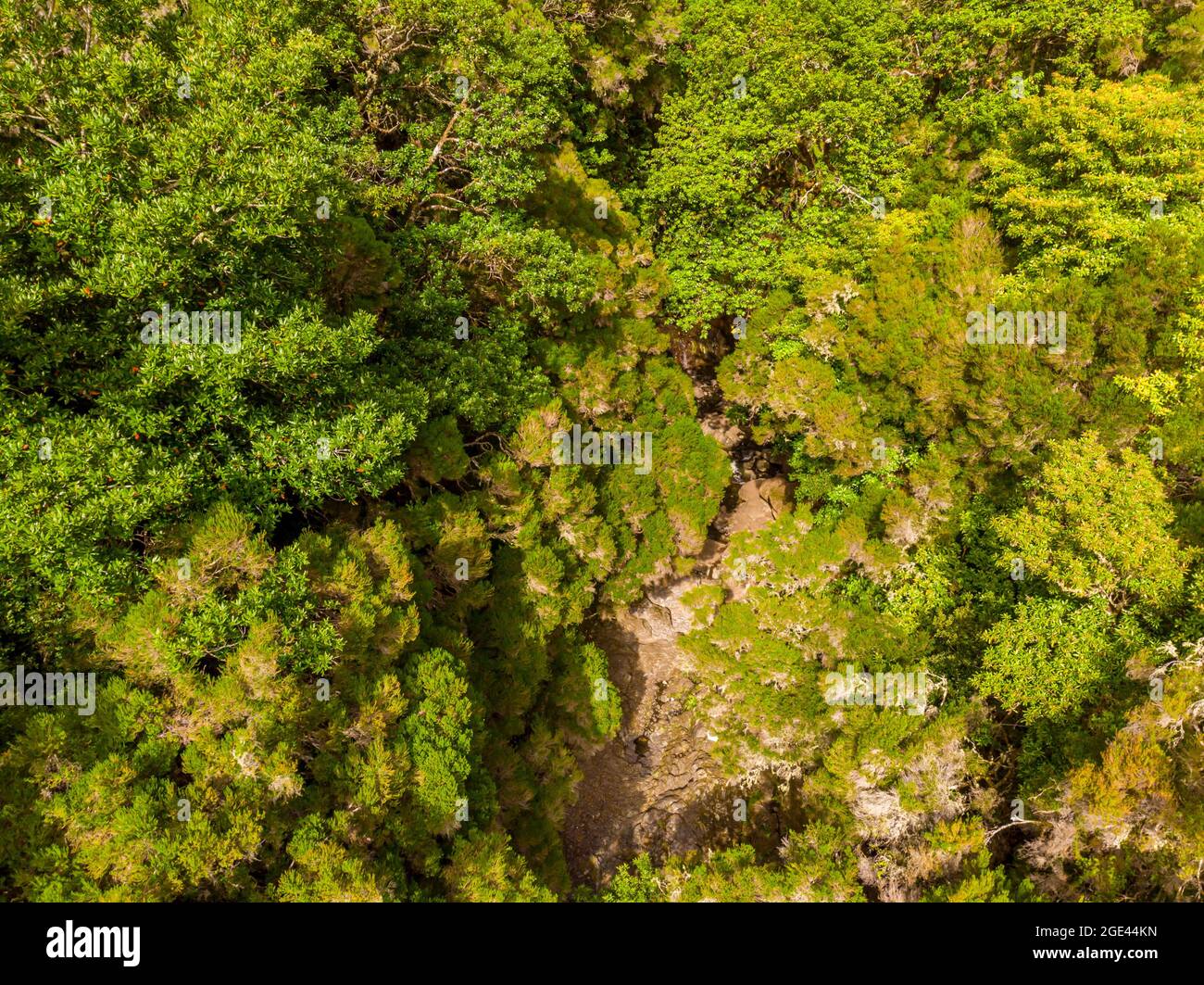 Aerial drop down view of forest waterfall falling into pond Stock Photo ...