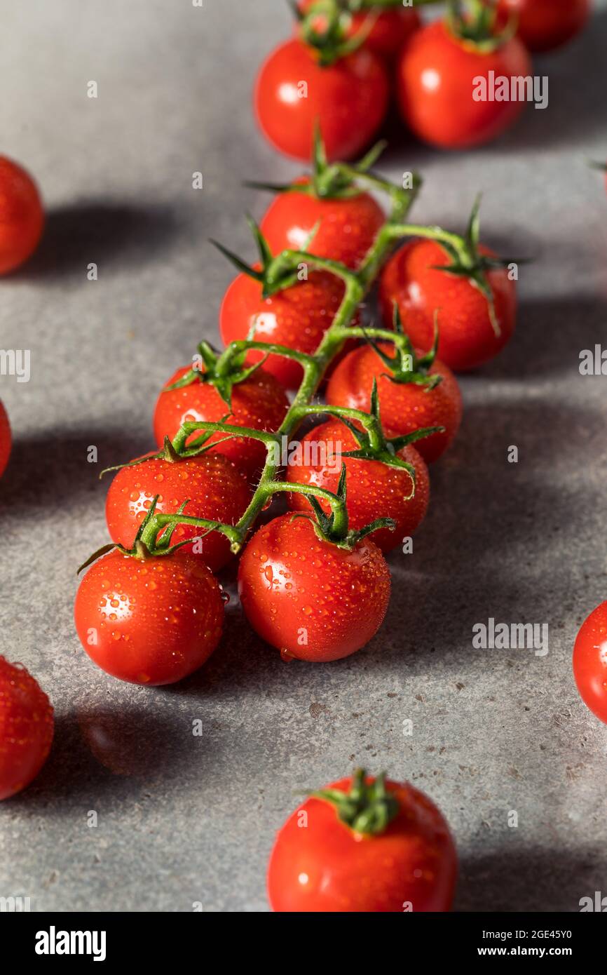 Healthy Organic Red Cherry Tomatoes in a Bunch Stock Photo - Alamy