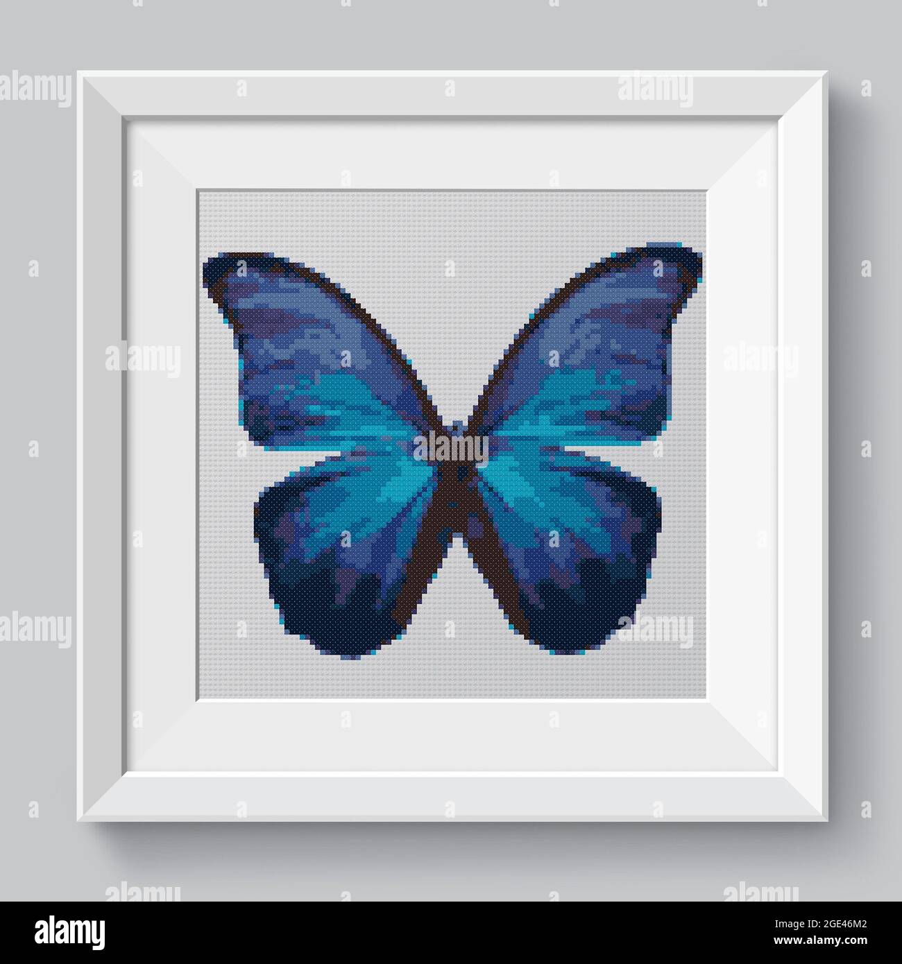 Morpho Blue butterfly. Blue butterfly papilio ulysses (Mountain ...