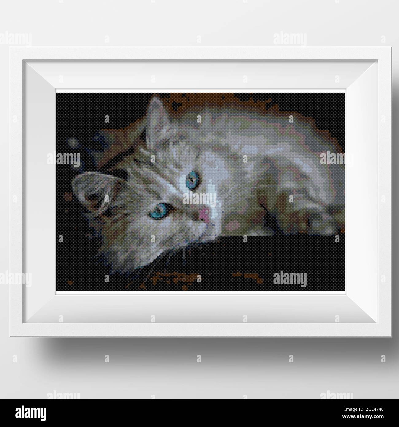 Buff tabby hi-res stock photography and images - Alamy