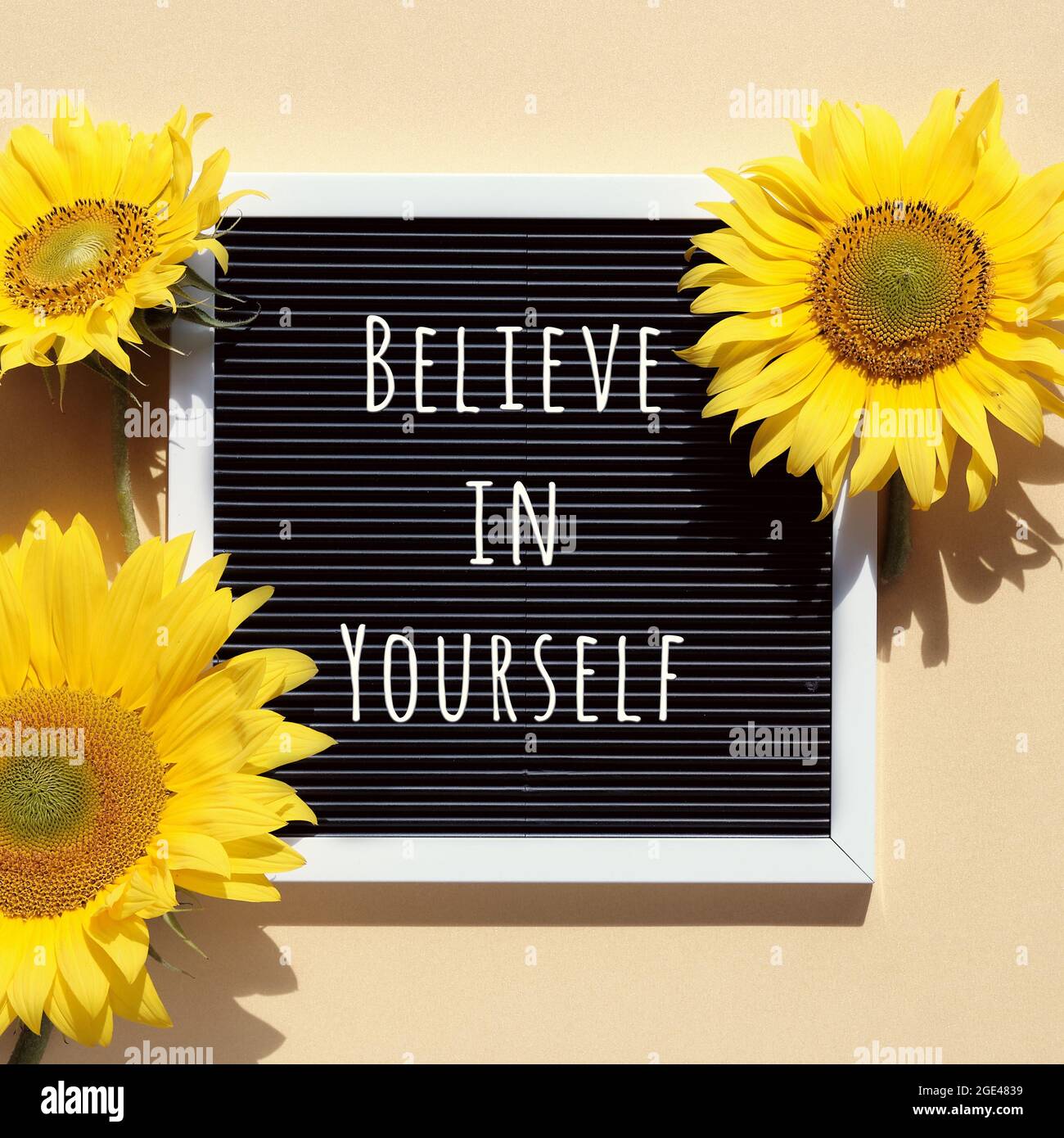 Believe in yourself, text on letter board with sunflowers. Flat lay ...