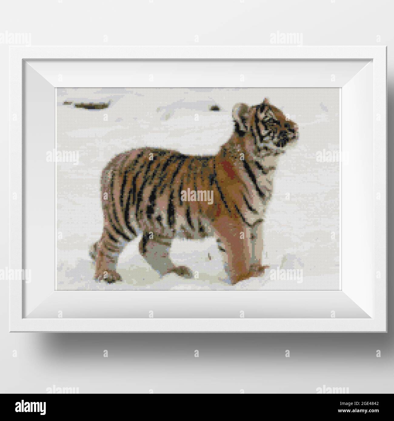 Siberian tiger cub, Panthera tigris altaica, tiger wild nature, snowy ...