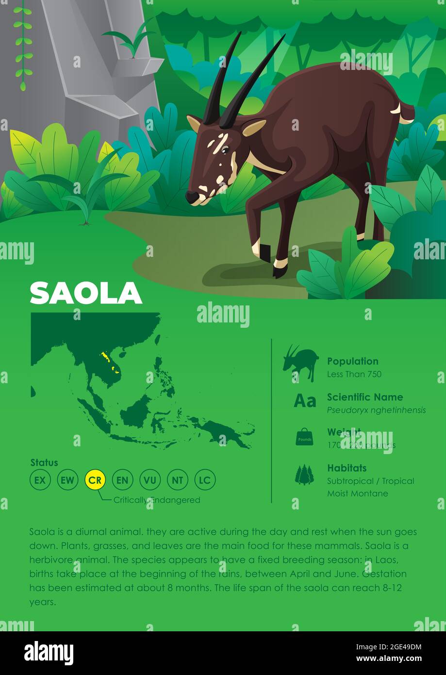 Saola