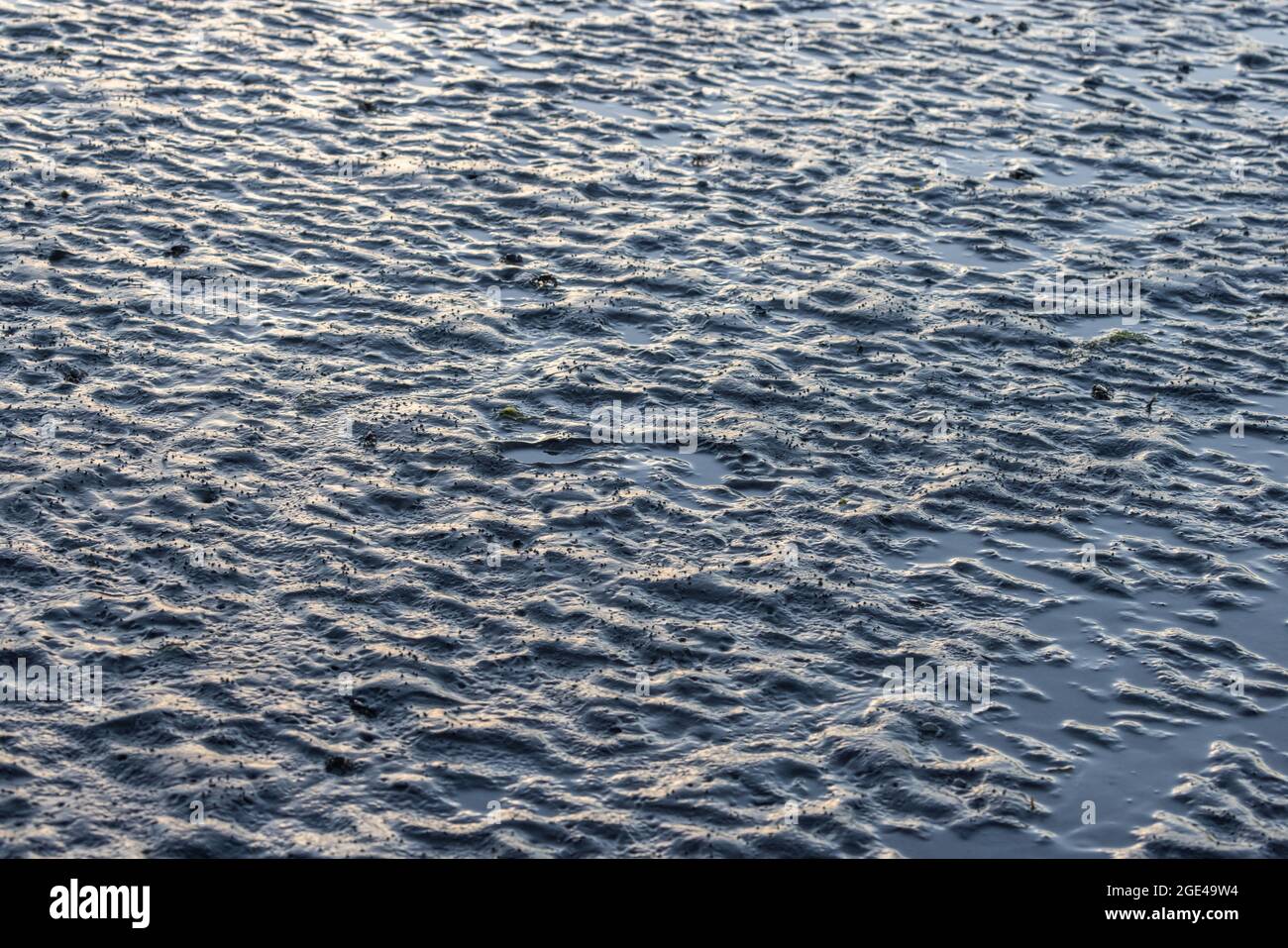 Lake Water Texture