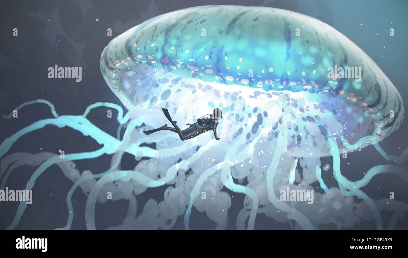 Real Giant Jellyfish