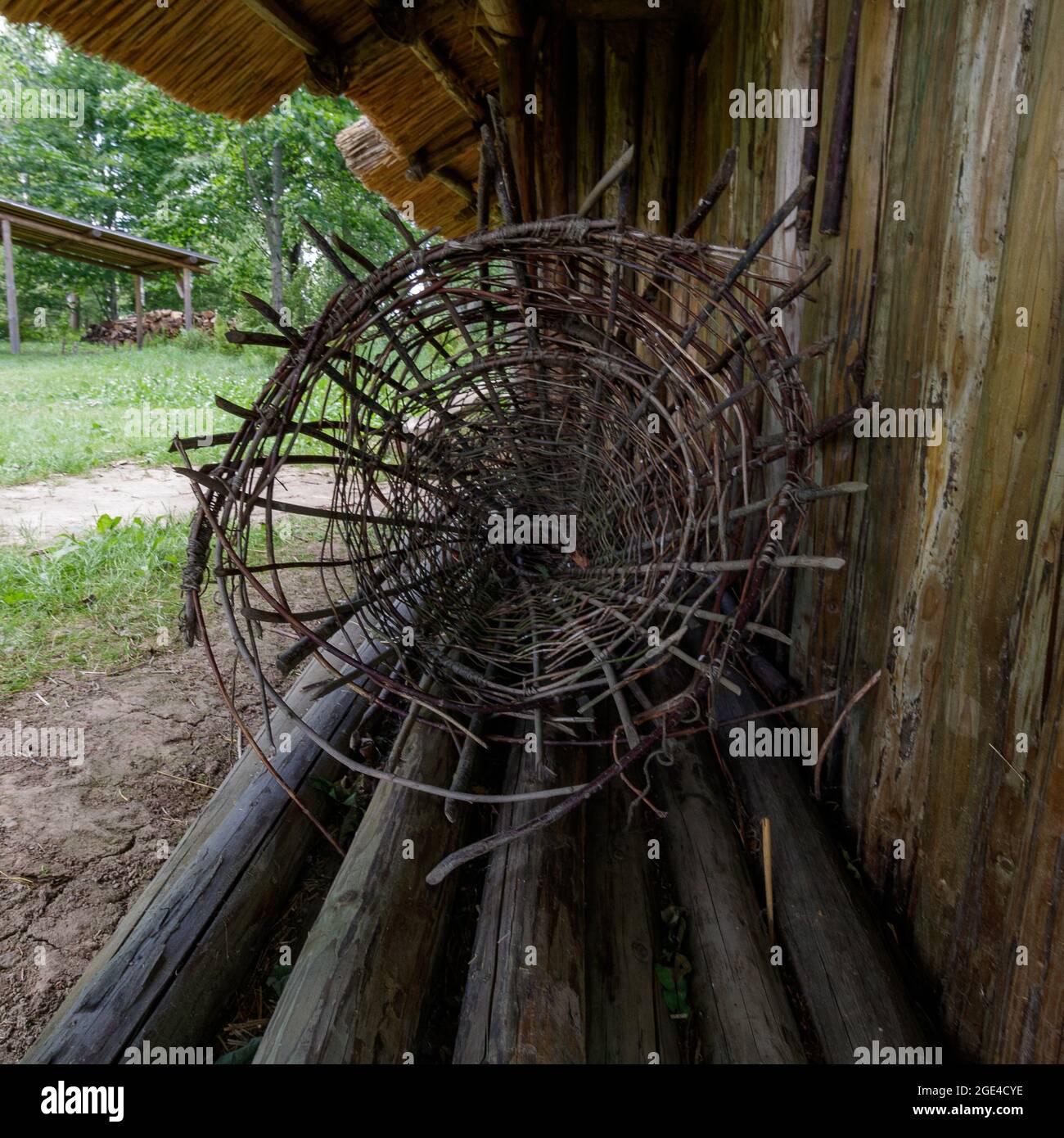 A cone made of fine tree branches, similar to a basket. An unusual ...