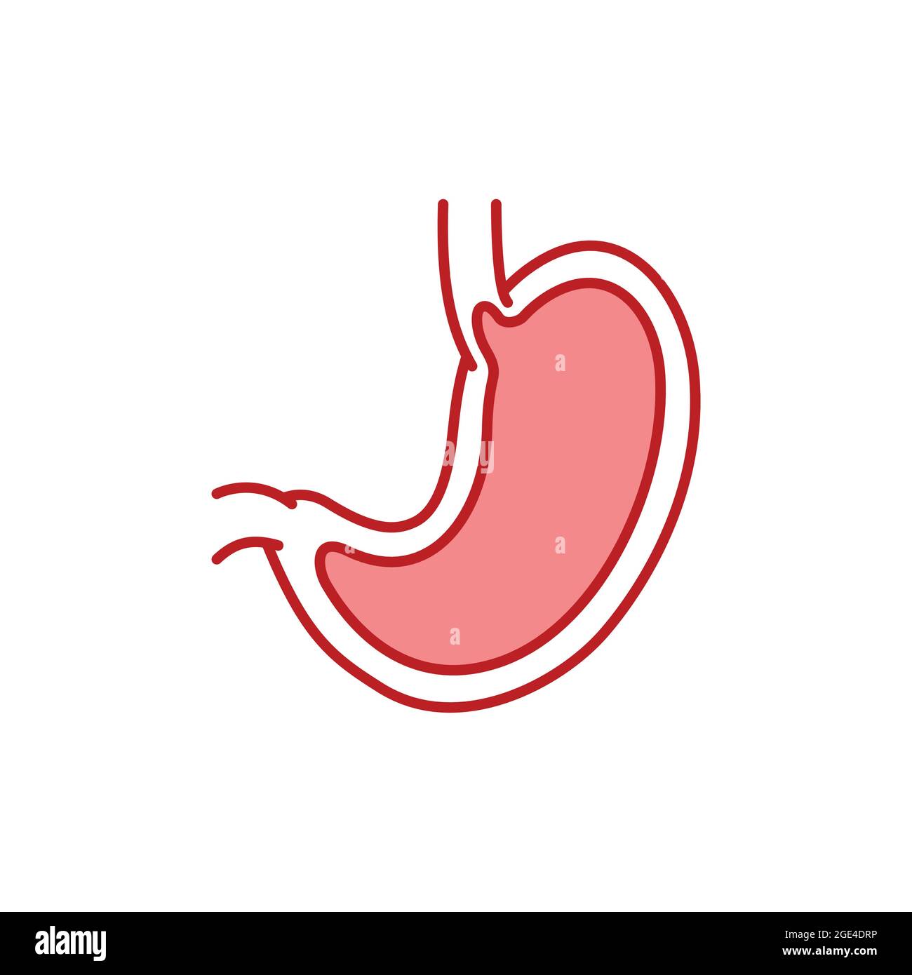 Gastroenterology color line icon. Stomach line color icon. Human organ ...