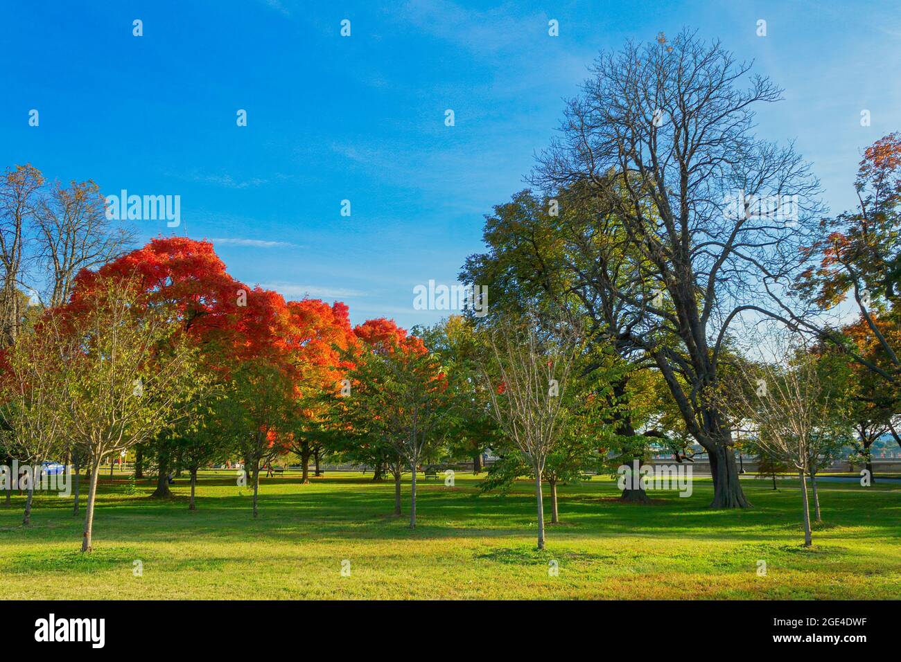 Greenery in dc hi-res stock photography and images - Alamy