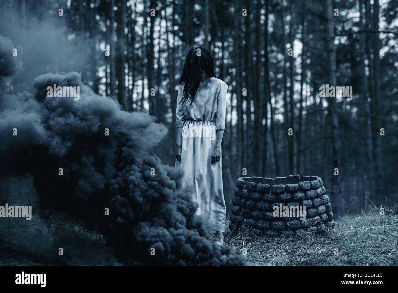 Zombie Forest Background