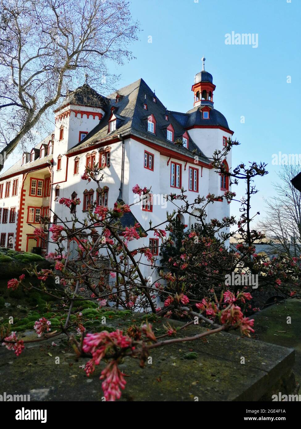 Scenic shot of a cozy white castle building surrounded by nature in ...