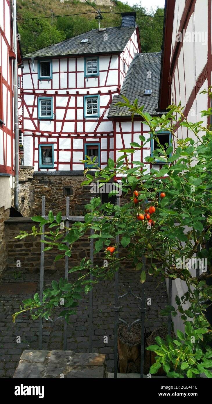 Scenic shot of a cozy cityscape with a white little house surrounded by ...