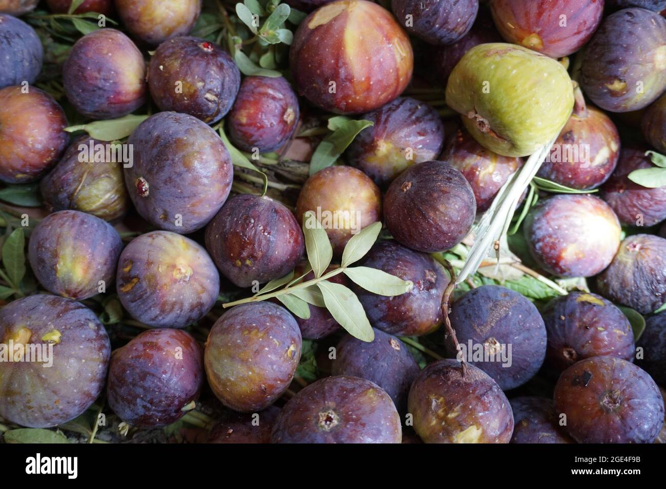 Tasty Fresh figs in Market,Moroccan Traditional Dessert, Seasonal Fruit ...