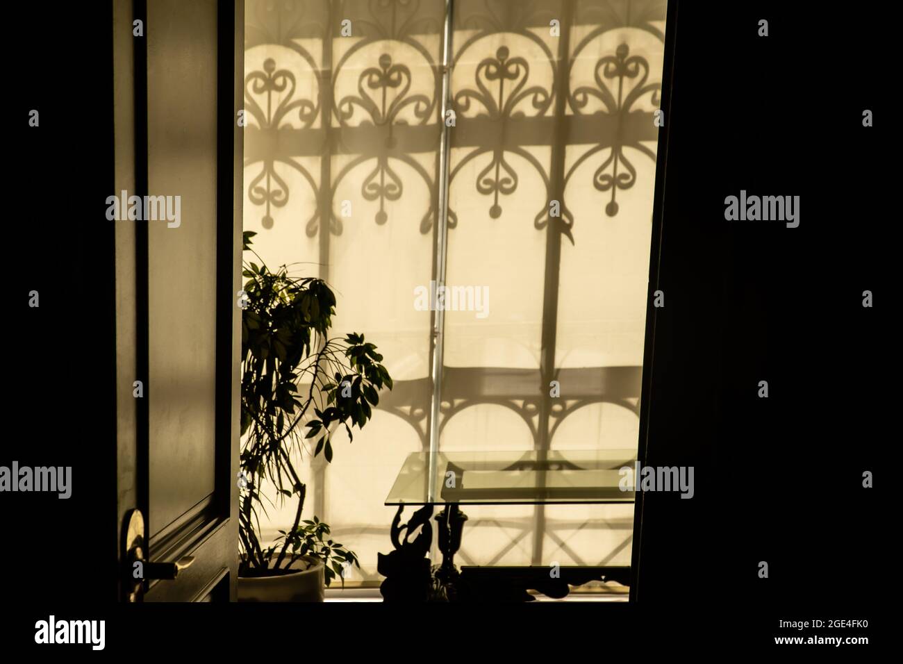 Grayscale shot of a vintage window with flowers in pots on the ...