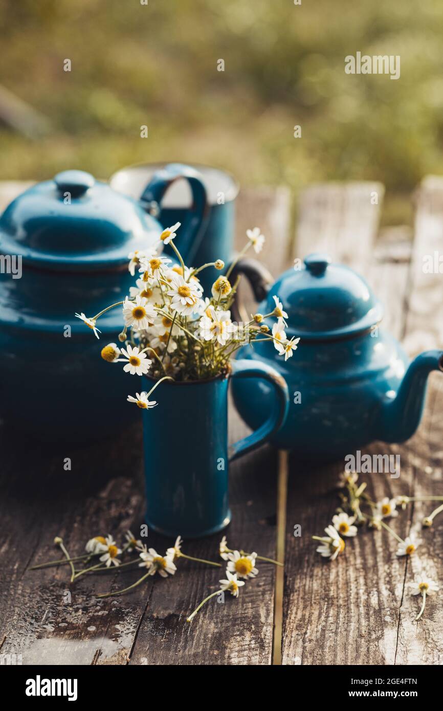 Phyto tea hi-res stock photography and images - Alamy