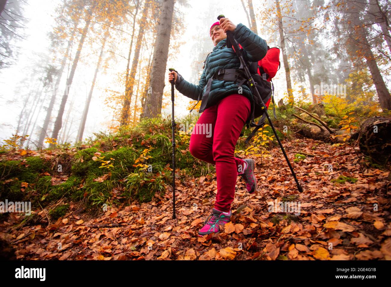 Active woman hiking in beautiful fall forest Stock Photo - Alamy
