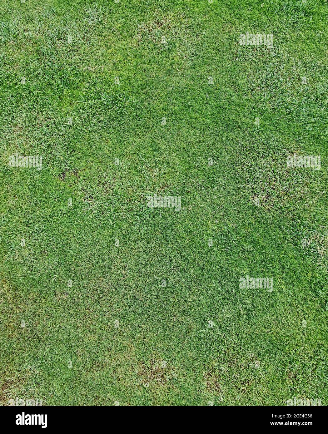 Seamless texture tile hi-res stock photography and images - Alamy