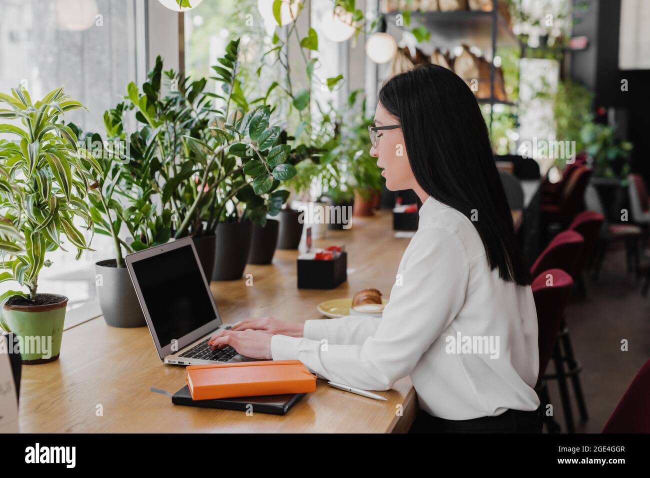 Successful business woman with laptop hi-res stock photography and ...