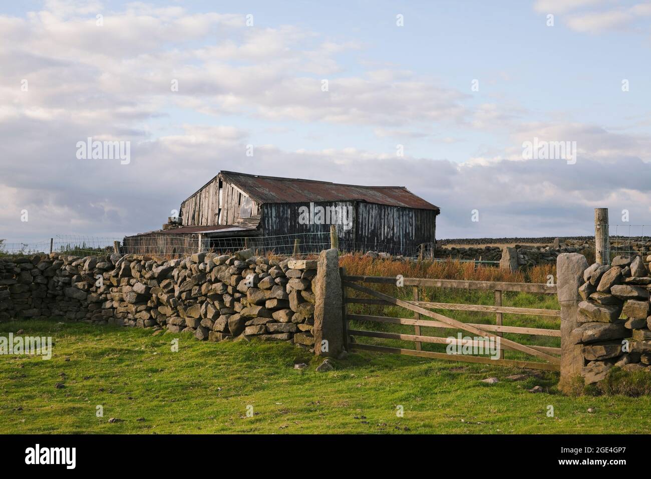 Remote barn on Hamer Moor in the North York Moors, UK Stock Photo - Alamy