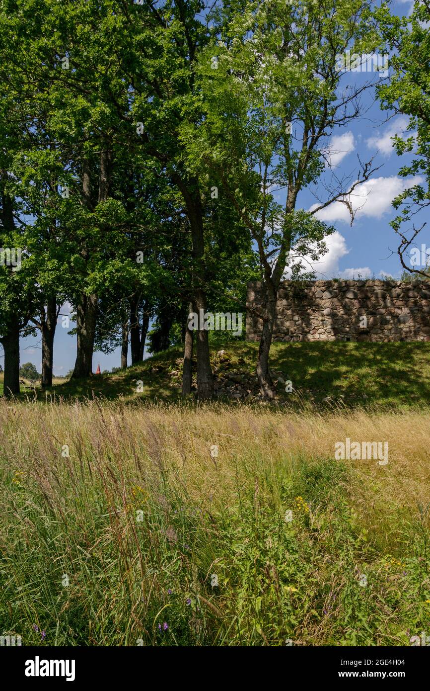 Bright summer landscape. Green grass, meadow, deciduous trees, sun ...