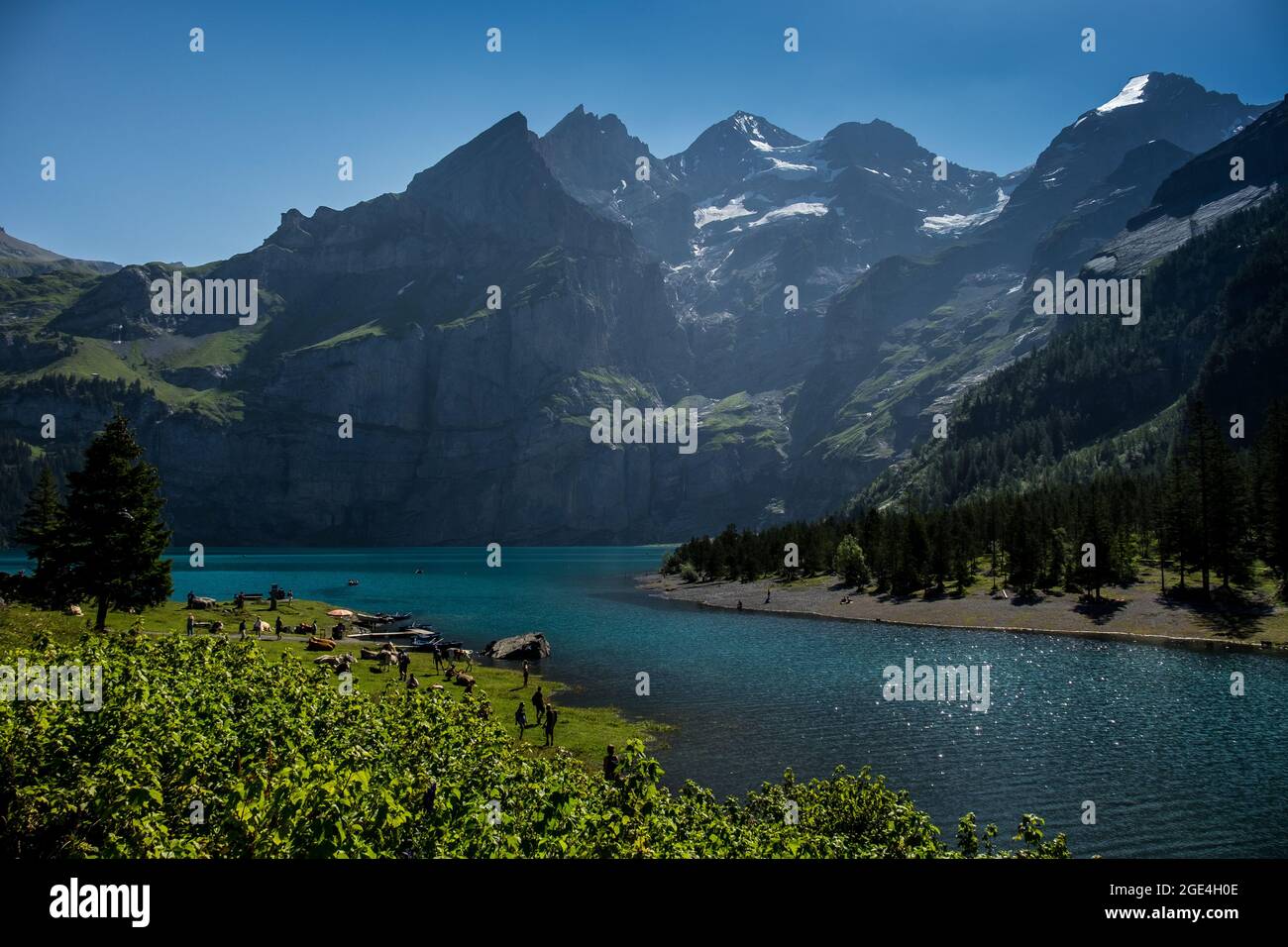 Landscape panoramic view of the Blümisalp Mountain and the Oeschinen ...