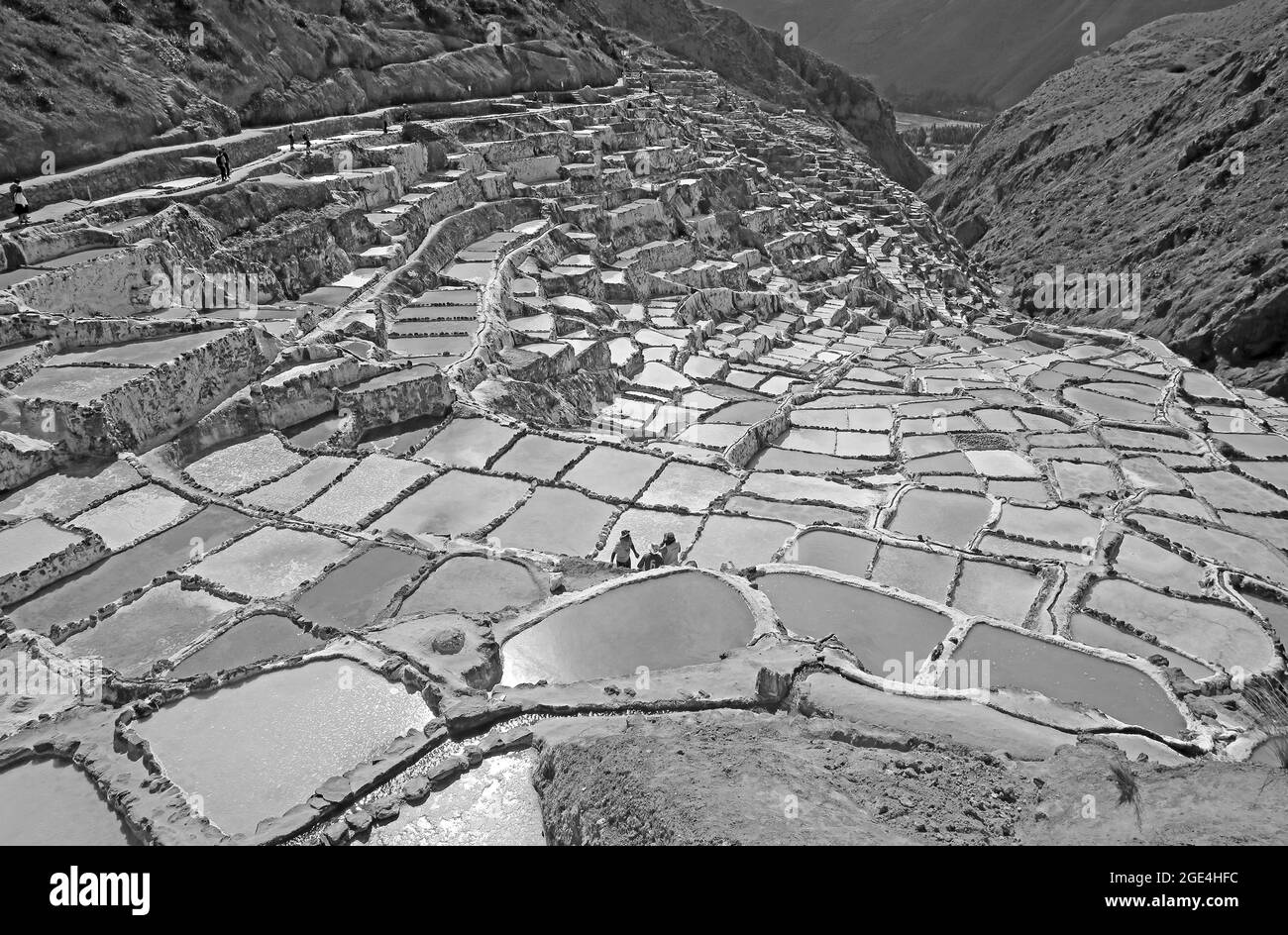 Produce of region Black and White Stock Photos & Images - Alamy