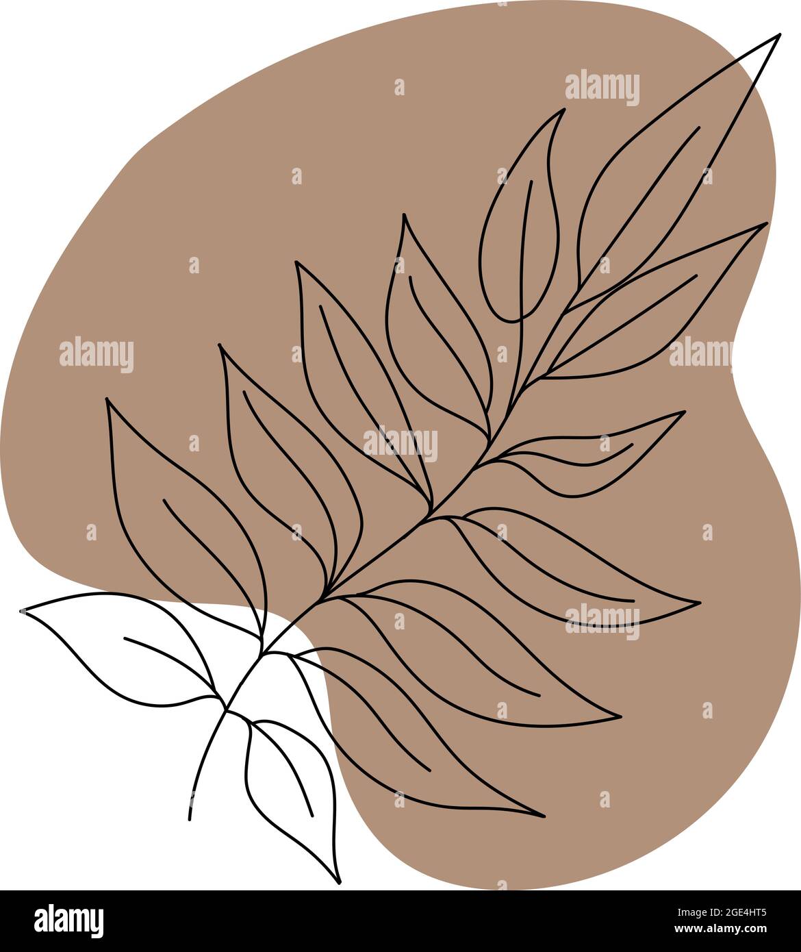 Autumn leaves, black line drawing on colored background, isolated image ...