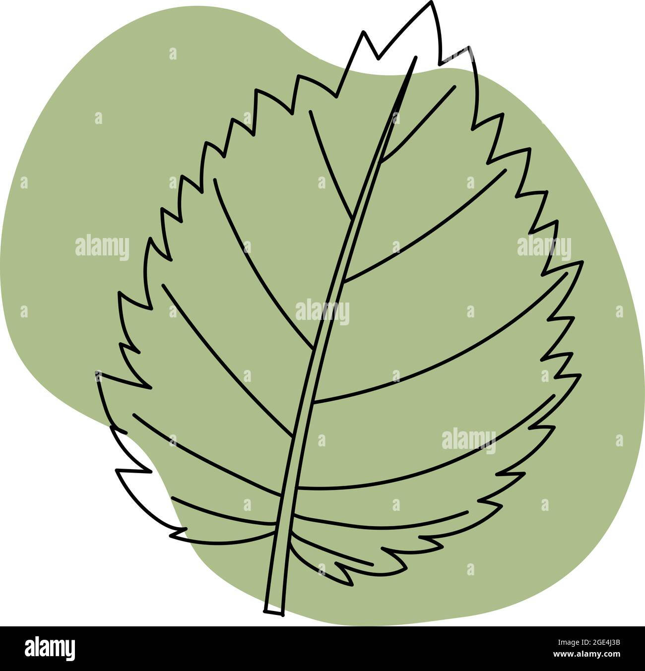 Autumn leaves, black line drawing on colored background, isolated image ...