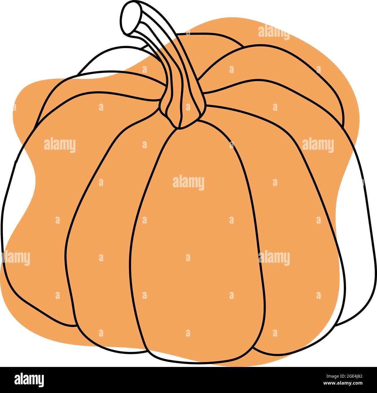 Autumn pumpkins drawing by black line on colored background, isolated ...