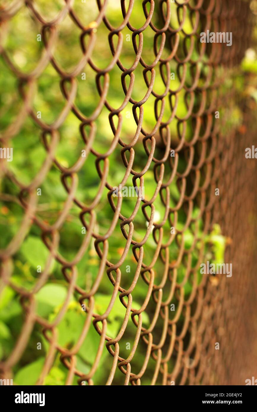 Metal mesh close up. Grid Stock Photo - Alamy