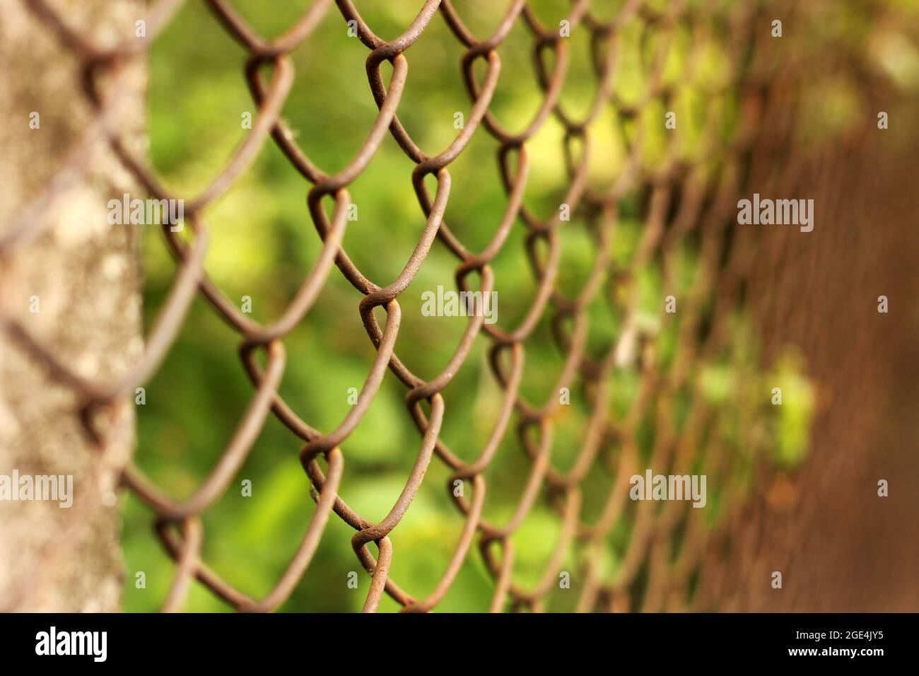 Metal mesh close up. Grid Stock Photo - Alamy