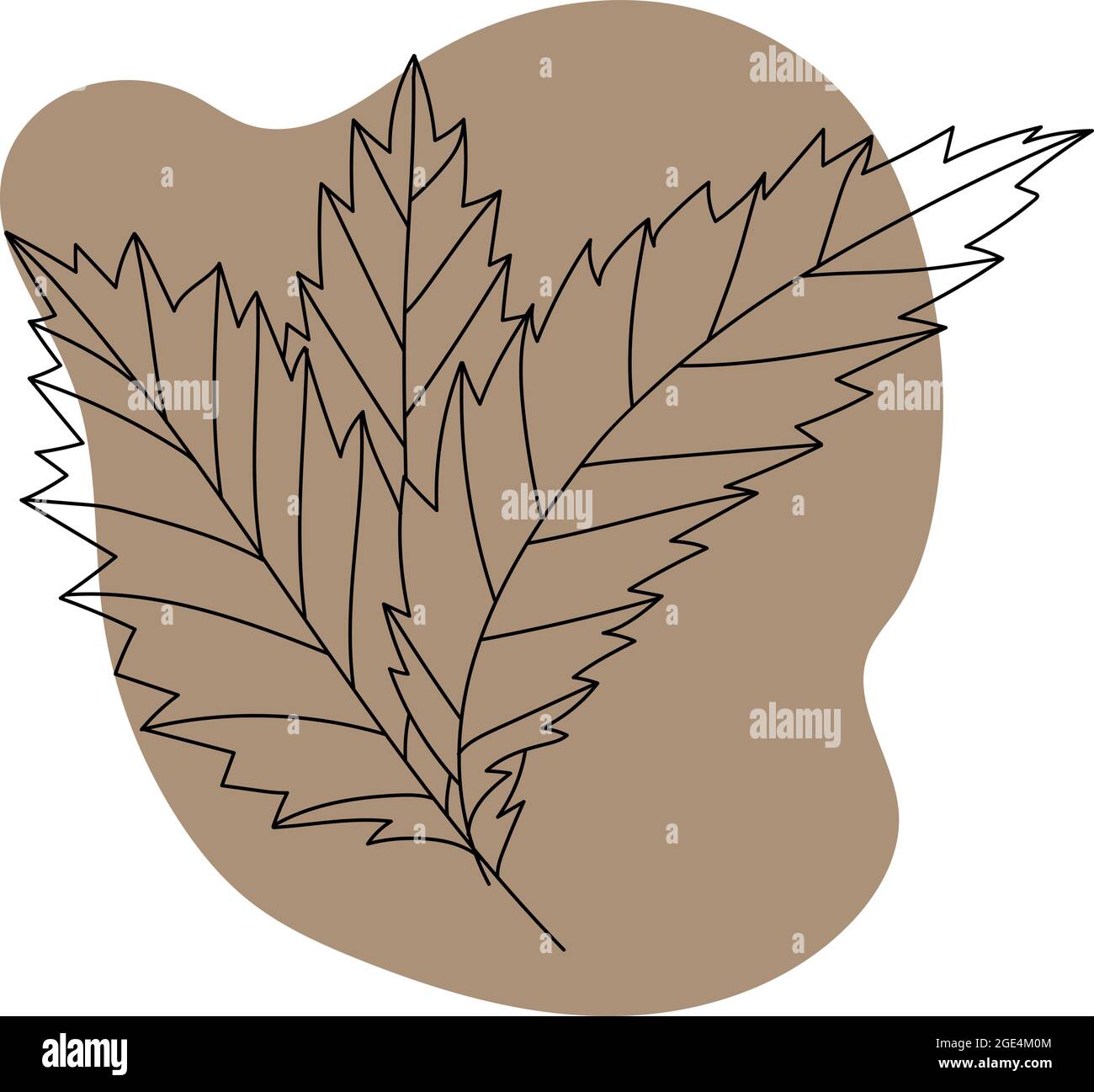 Autumn leaves, black line drawing on colored background, isolated image ...