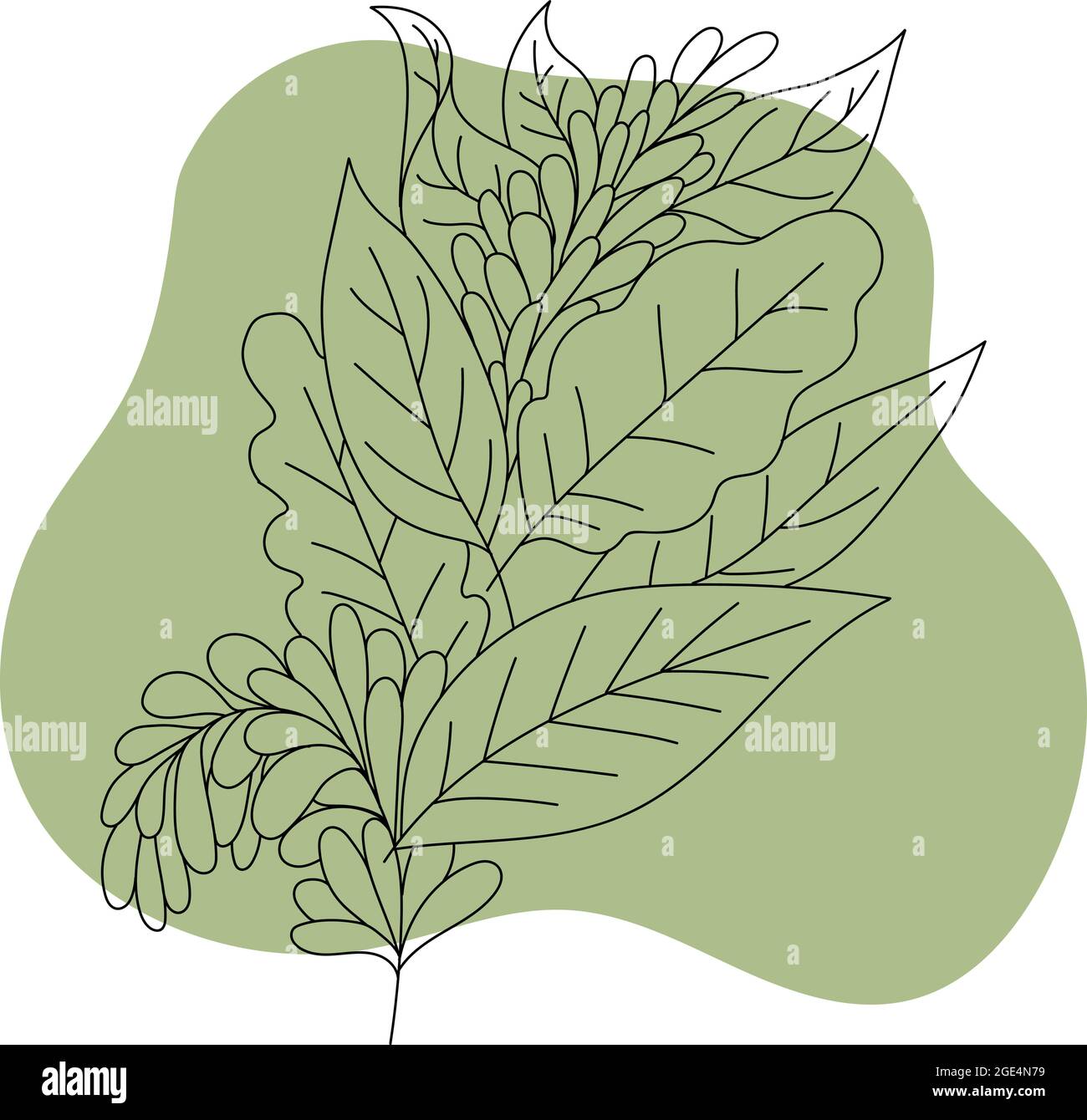 Autumn leaves, black line drawing on colored background, isolated image ...