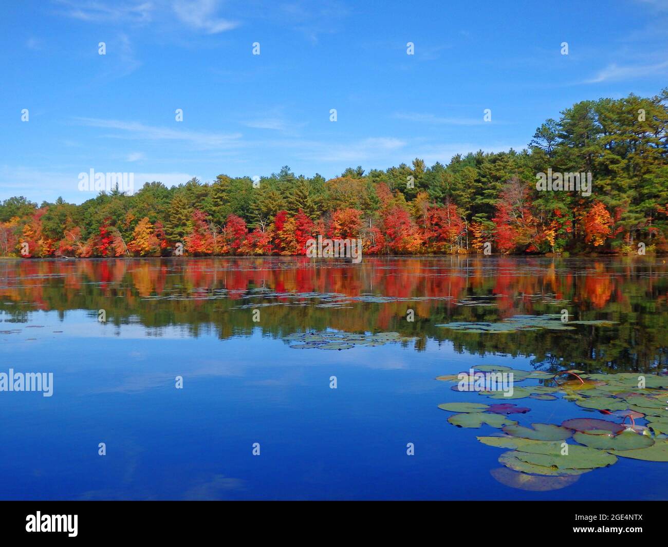 Reflection on lake new hi-res stock photography and images - Alamy