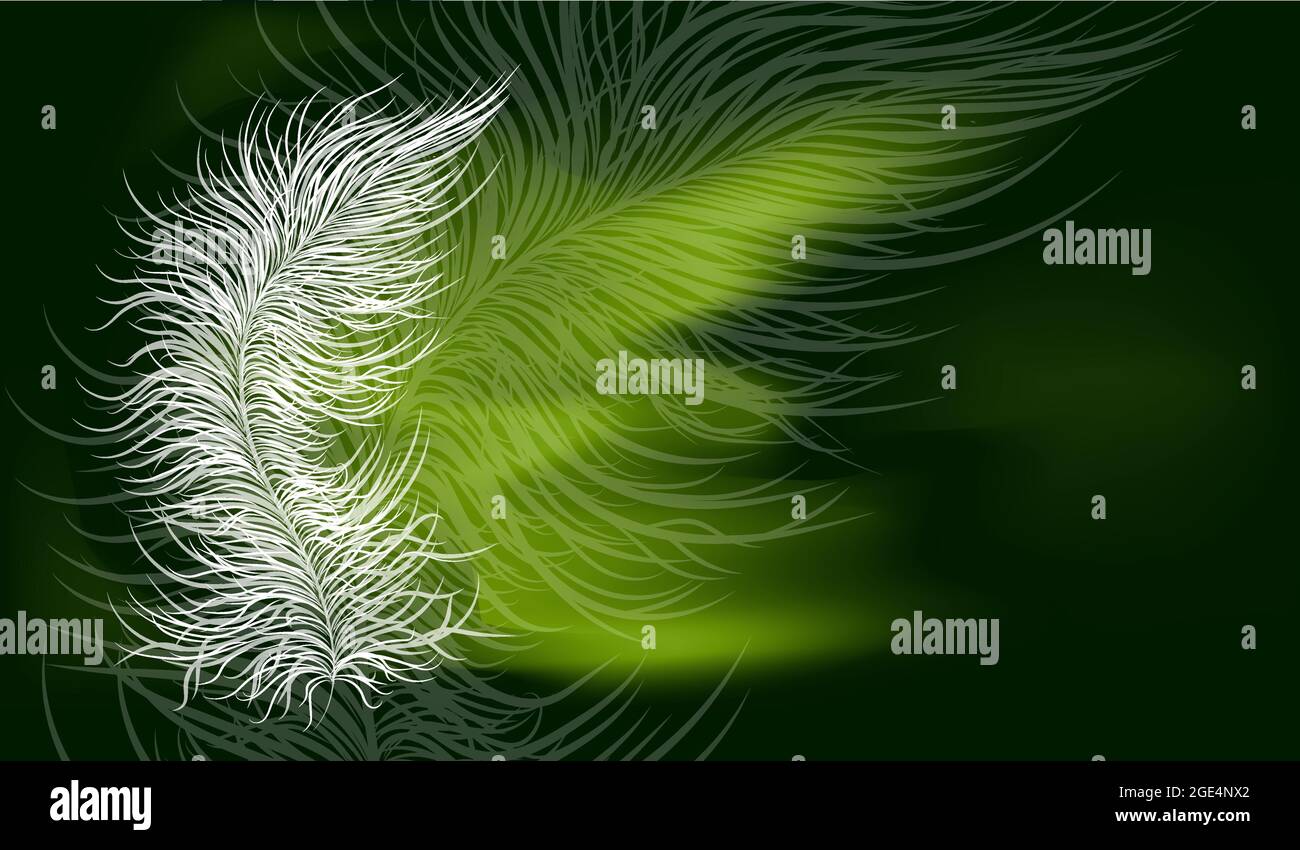 Feather fern Stock Vector Images - Alamy