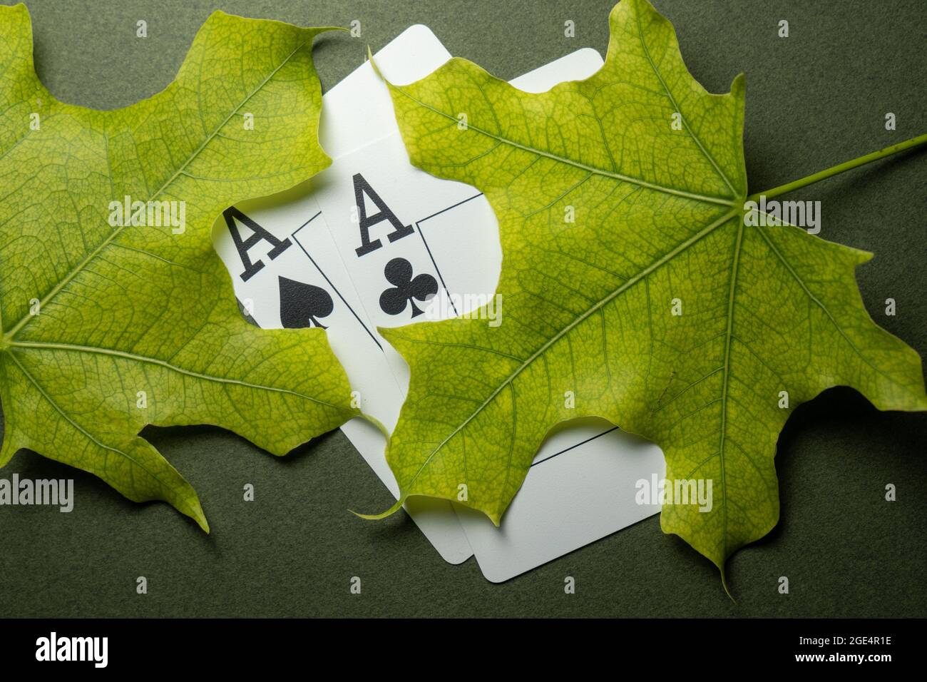 Autumn Poker cards AA Spade Club set with green leaves Stock Photo - Alamy